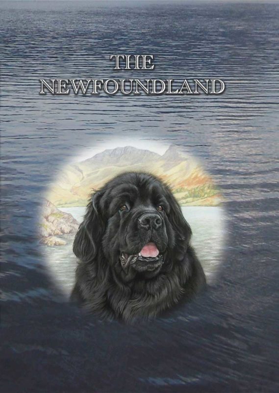 The Newfoundland (4th Edition) – hardback – The Newfoundland Club Shop